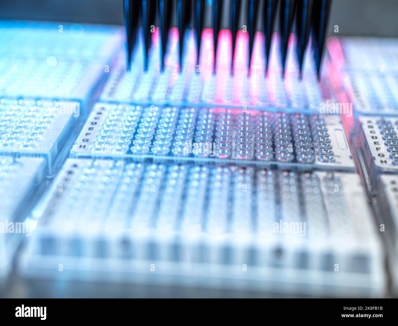 Analysis of samples in microplates by automation robotics Stock Photo ...