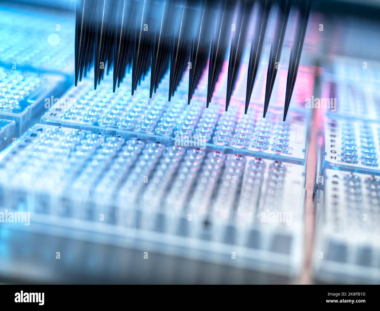 Analysis of samples in microplates by automation robotics Stock Photo ...