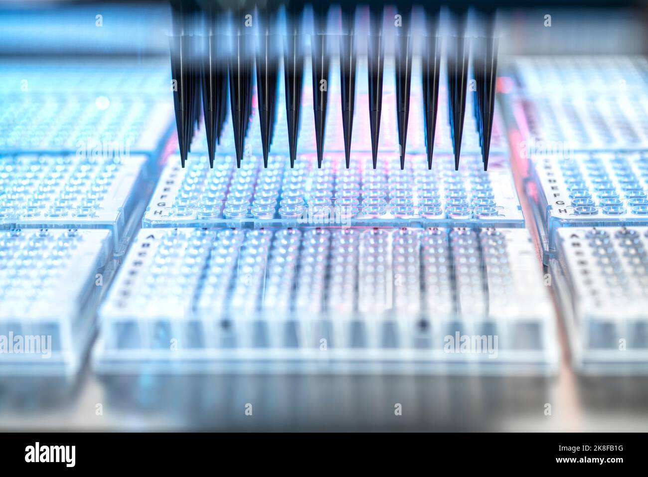 Analysis of samples in microplates by automation robotics Stock Photo ...