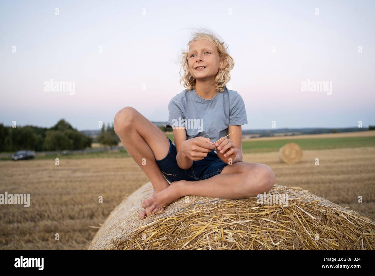Smiling boy with blond hair sitting on haystack Stock Photo - Alamy