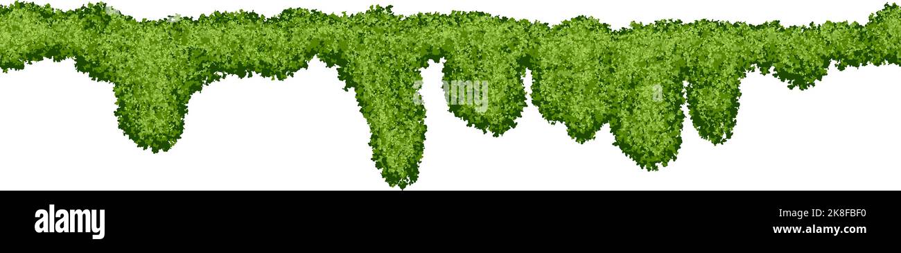 Long horizontal seamless swamp moss pattern on white background Stock ...