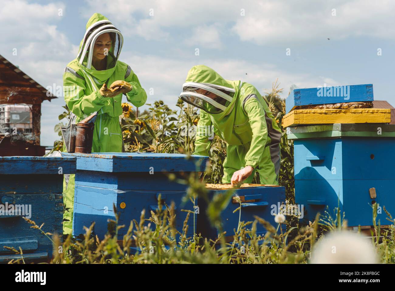 Beehive boxes hi-res stock photography and images - Alamy
