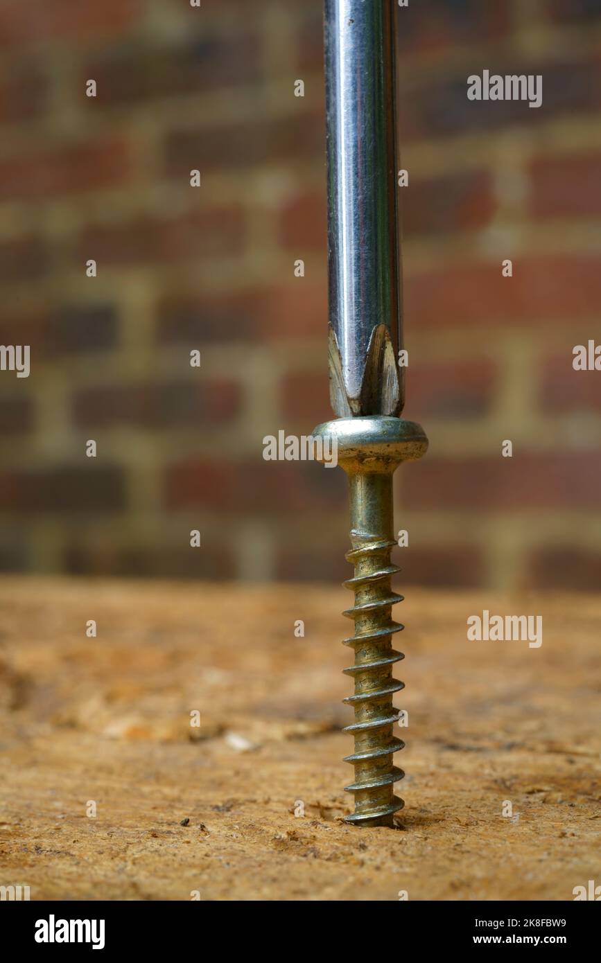 Woodscrew hi-res stock photography and images - Alamy