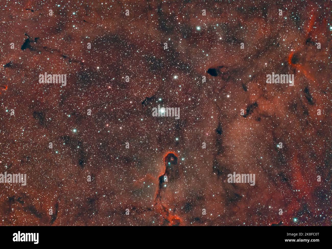 Elephants Trunk Nebula and Cepheus constellation Stock Photo - Alamy