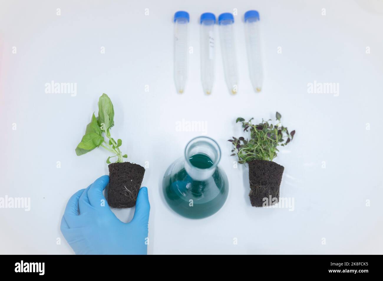 Chemical plants hi-res stock photography and images - Alamy