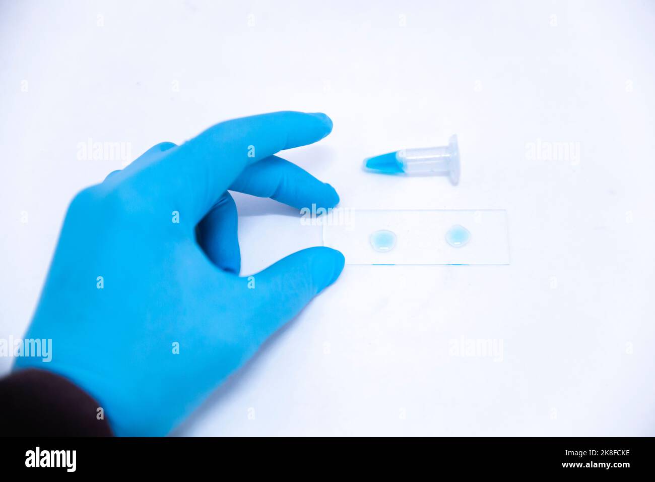 Young female scientist holding microscope hi-res stock photography and ...