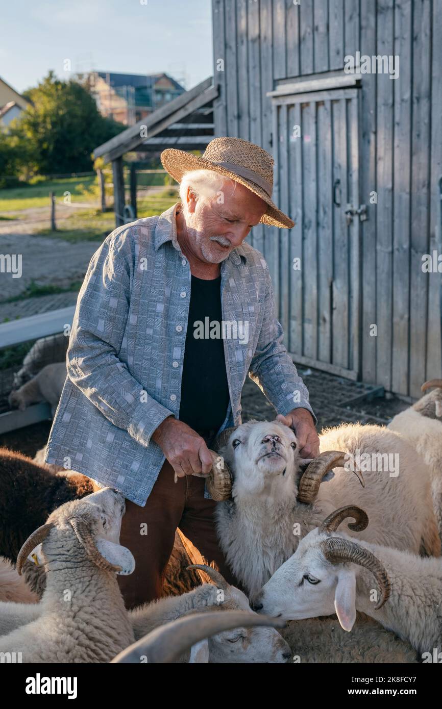 Senior alternative stroking hi-res stock photography and images - Alamy