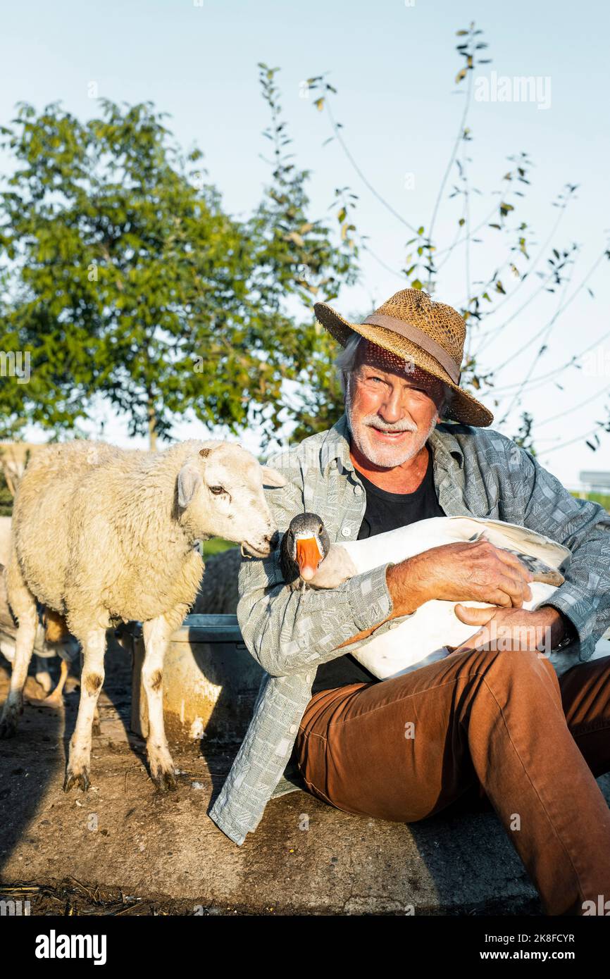 Happy goose hi-res stock photography and images - Alamy