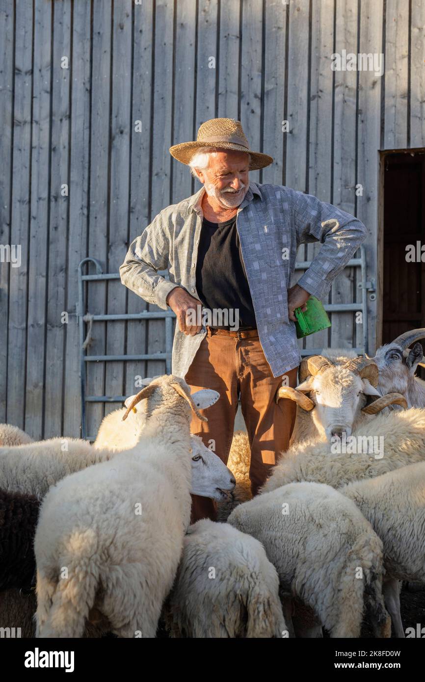 Hands on farm animals hi-res stock photography and images - Alamy