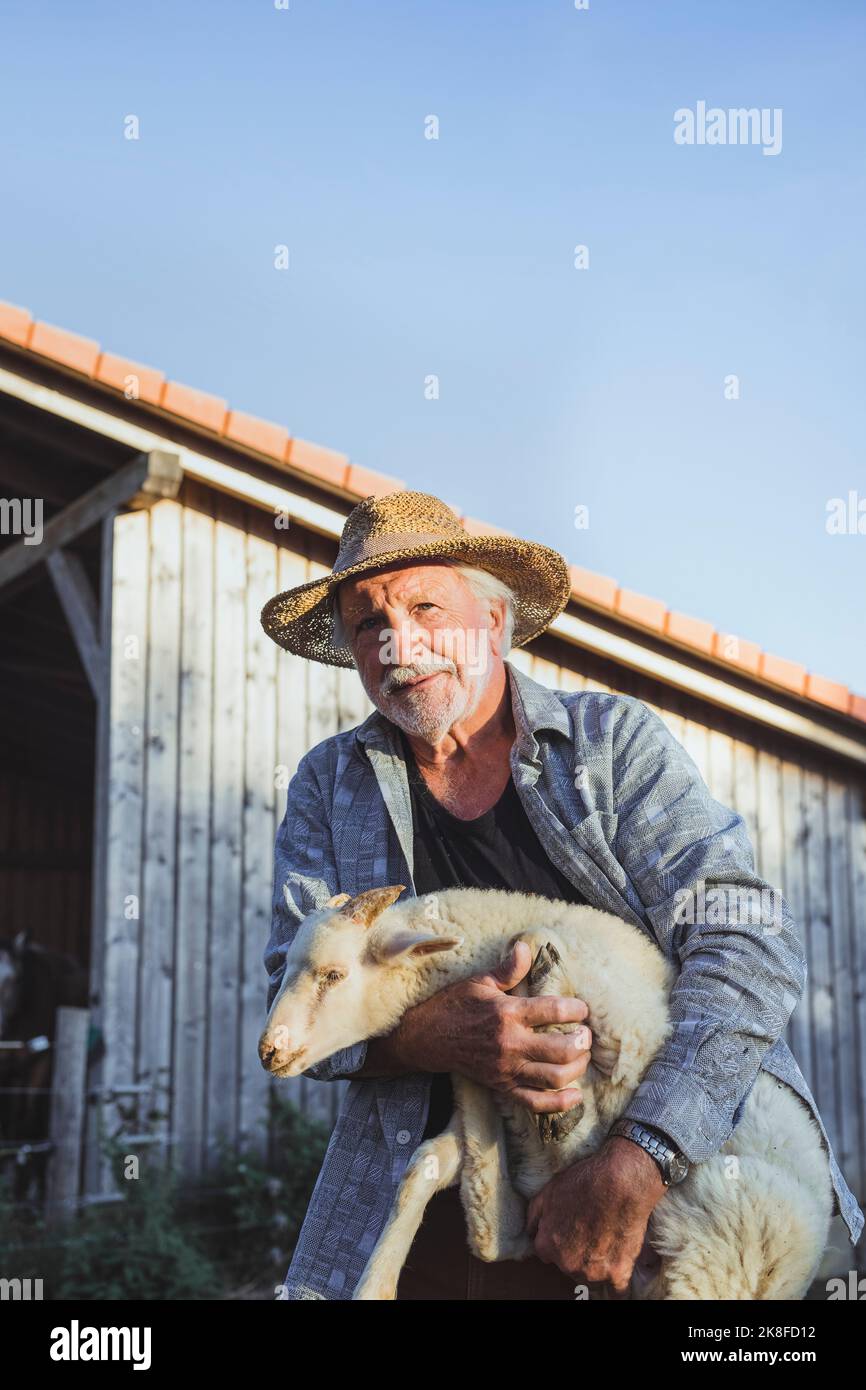 Smiling farmer carrying sheep at farm Stock Photo - Alamy