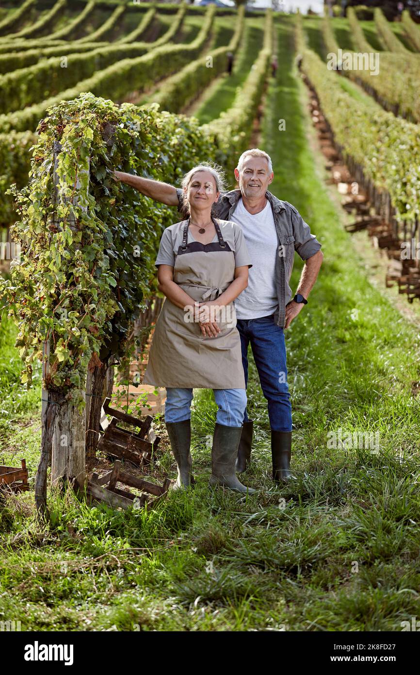 Portrait mature male owner vineyard hi-res stock photography and images ...