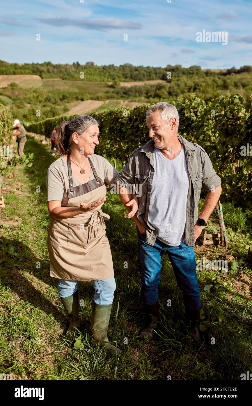 Happy farmers talking with each other in vineyard Stock Photo - Alamy