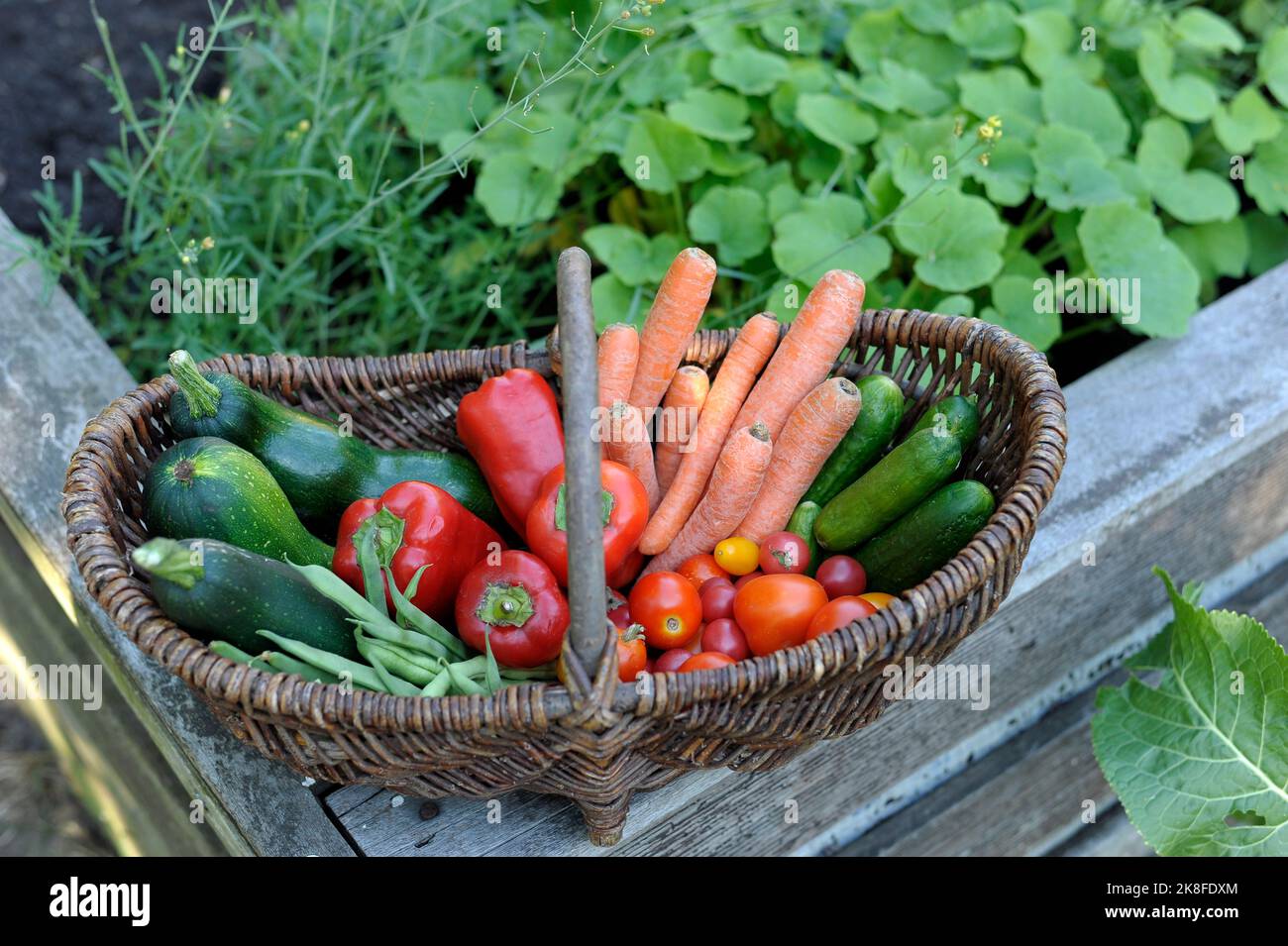 Wicker basket vegetables hi-res stock photography and images - Alamy