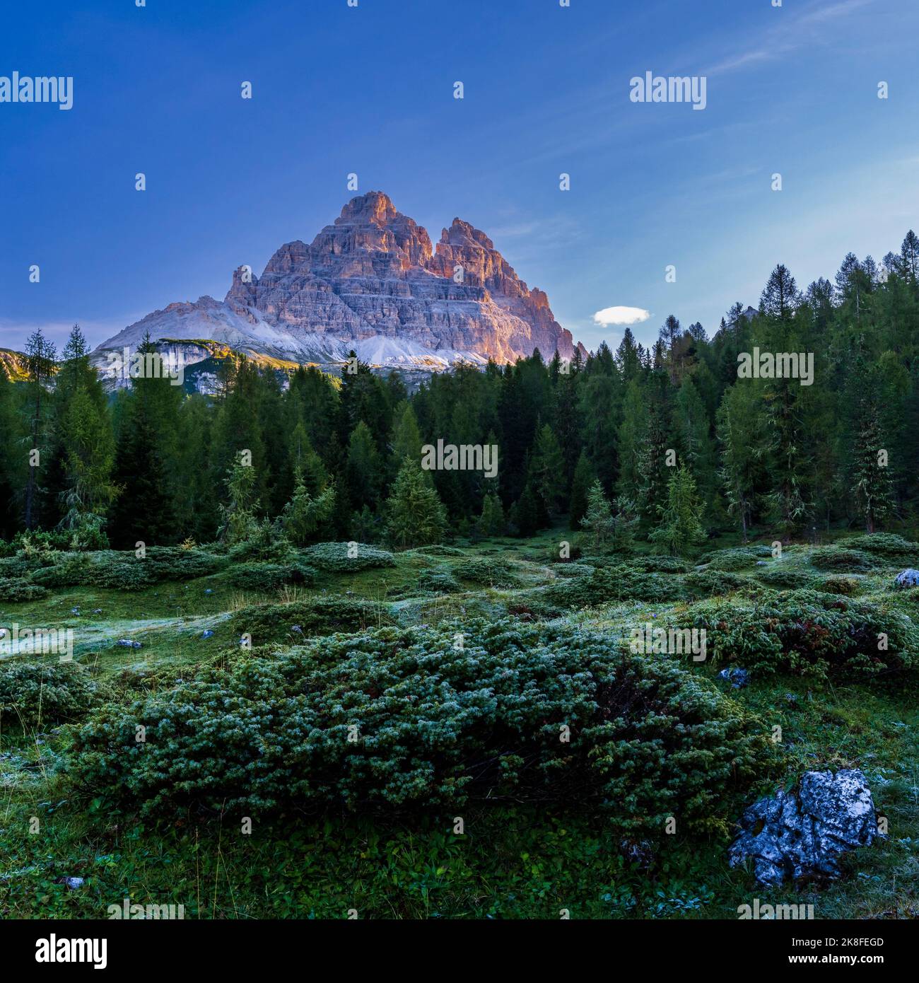 Edge alpine forest sexten dolomites dusk hi-res stock photography and ...