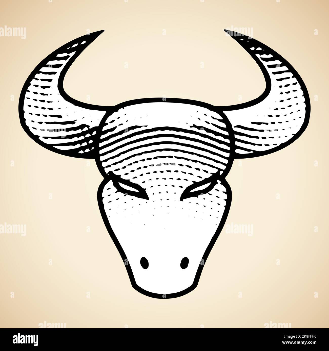 Illustration of Scratchboard Engraved Bull Front View with White Fill ...