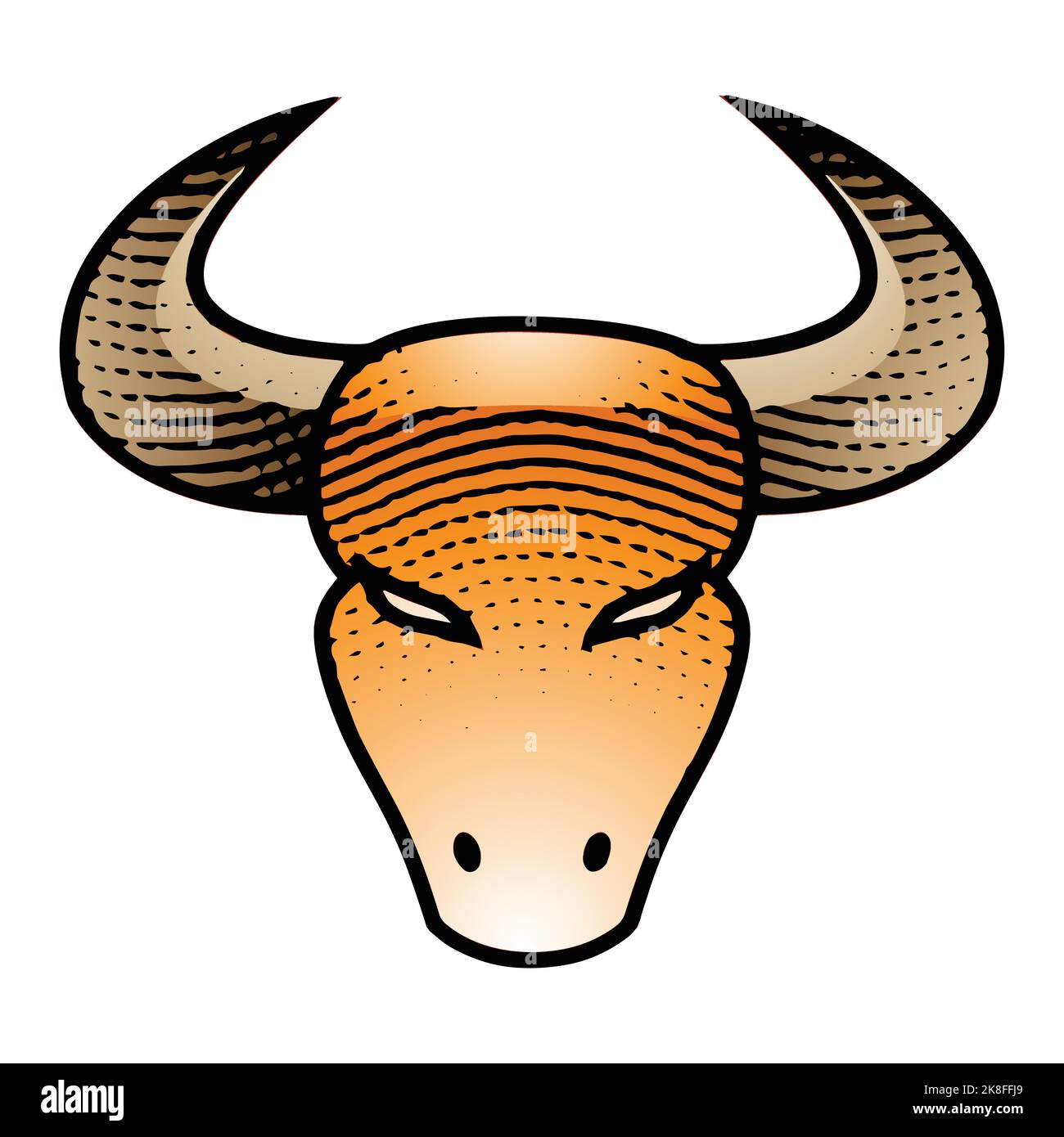 Illustration of Scratchboard Engraved Bull Front View with Colorful ...