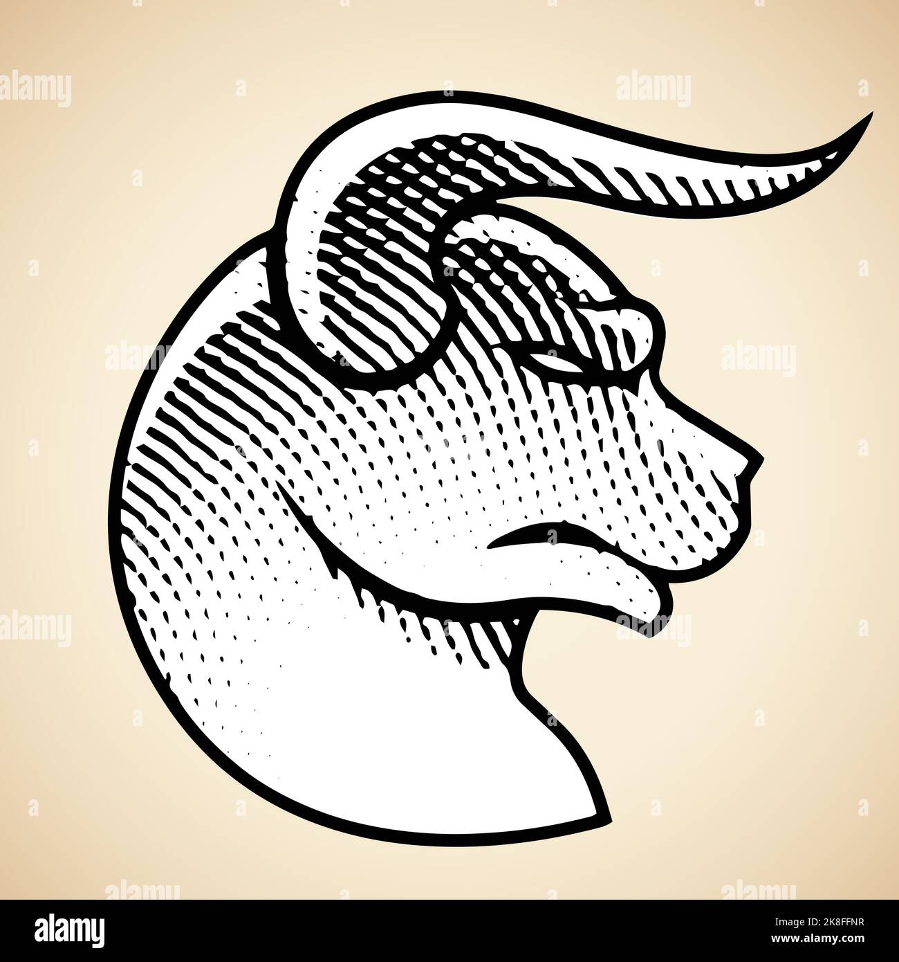 Illustration of Scratchboard Engraved Bull Profile View with White Fill ...
