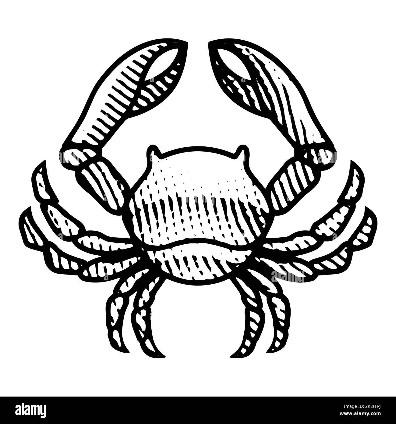 Illustration of Scratchboard Engraved Crab isolated on a White ...