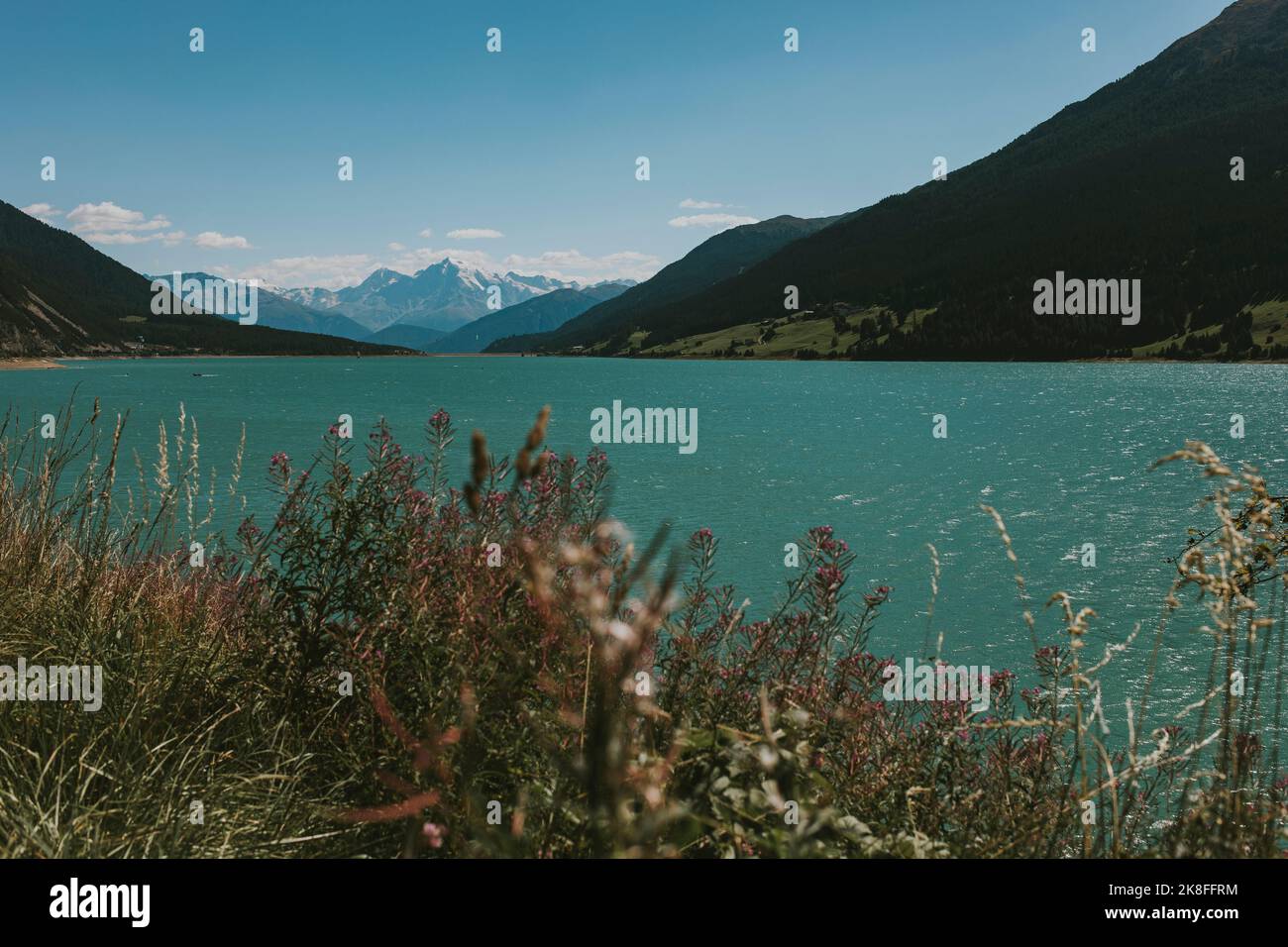 Italy, Trentino-Alto Adige, View of Lake Reschen in summer with Alps in ...