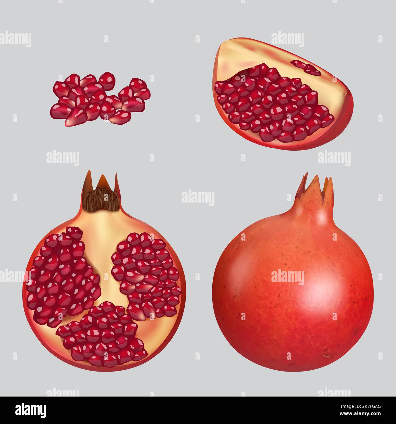Pomegranate Healthy Natural Fruits Decent Vector Realistic