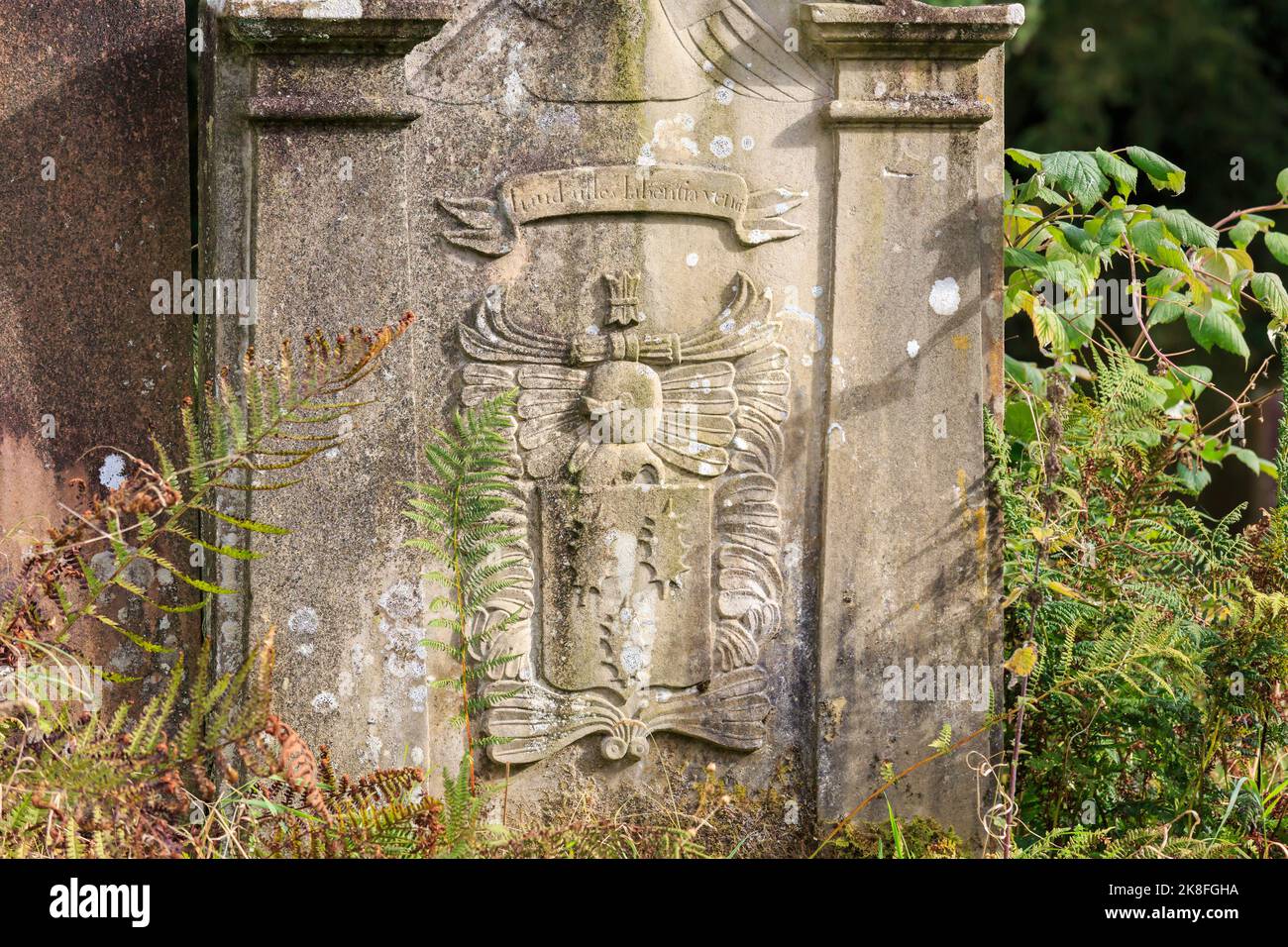 Medieval gravestone carved in hi-res stock photography and images - Alamy
