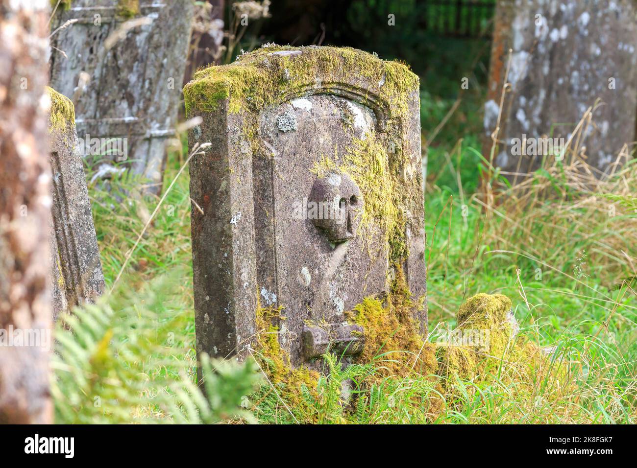 A medieval gravestone with skull carving covered with moss in a old ...
