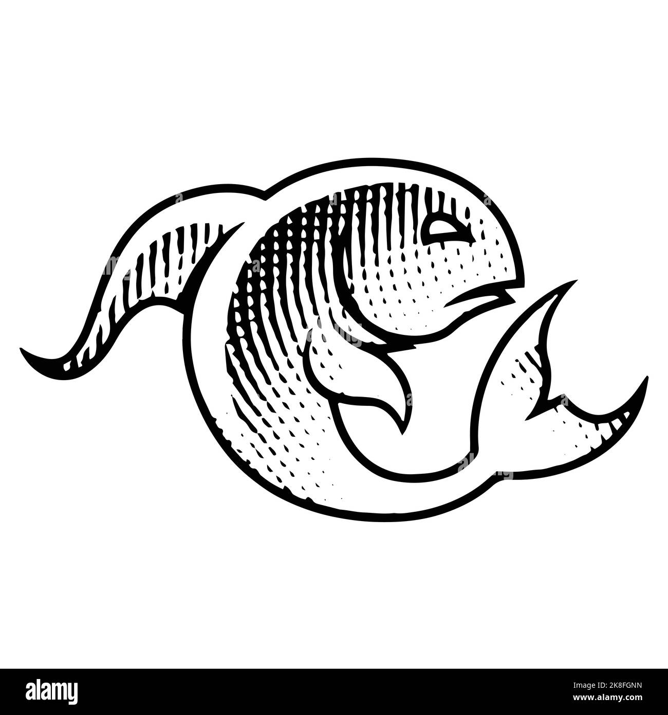 Illustration of Scratchboard Engraved Fish isolated on a White ...