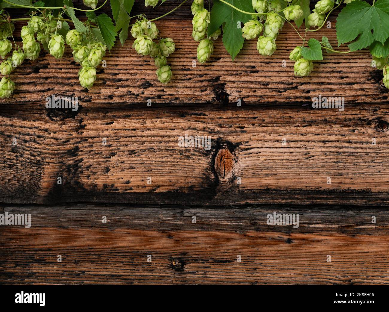 Fresh hops border on vintage wooden background with copy space Stock ...