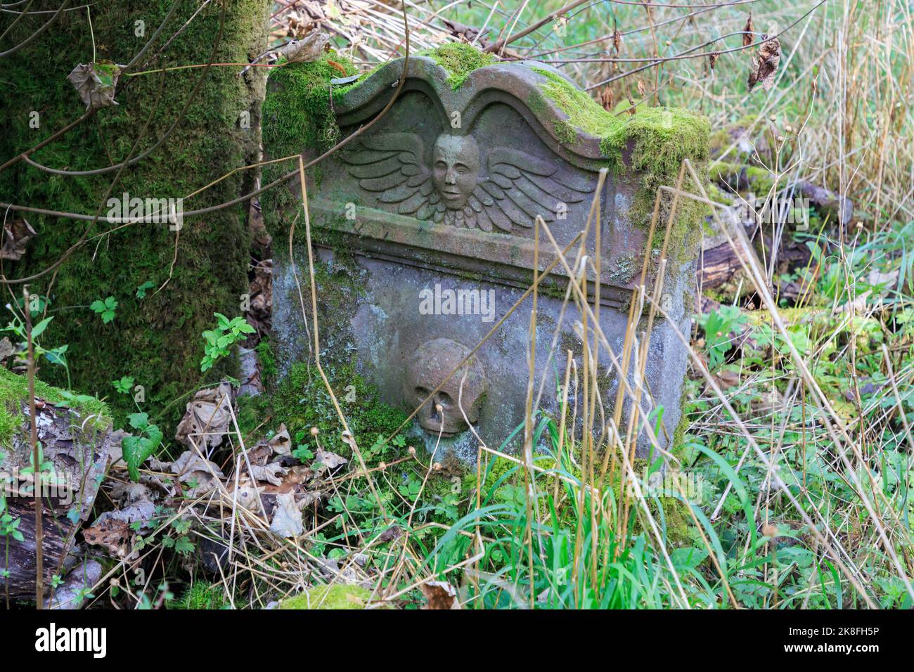A medieval gravestone covered with moss in a old cemetery Stock Photo ...