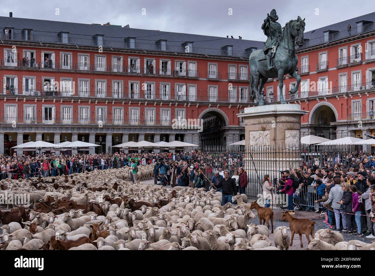 Madrid, Spain. 23rd Oct, 2022. A transhumant herd of goats and sheep ...