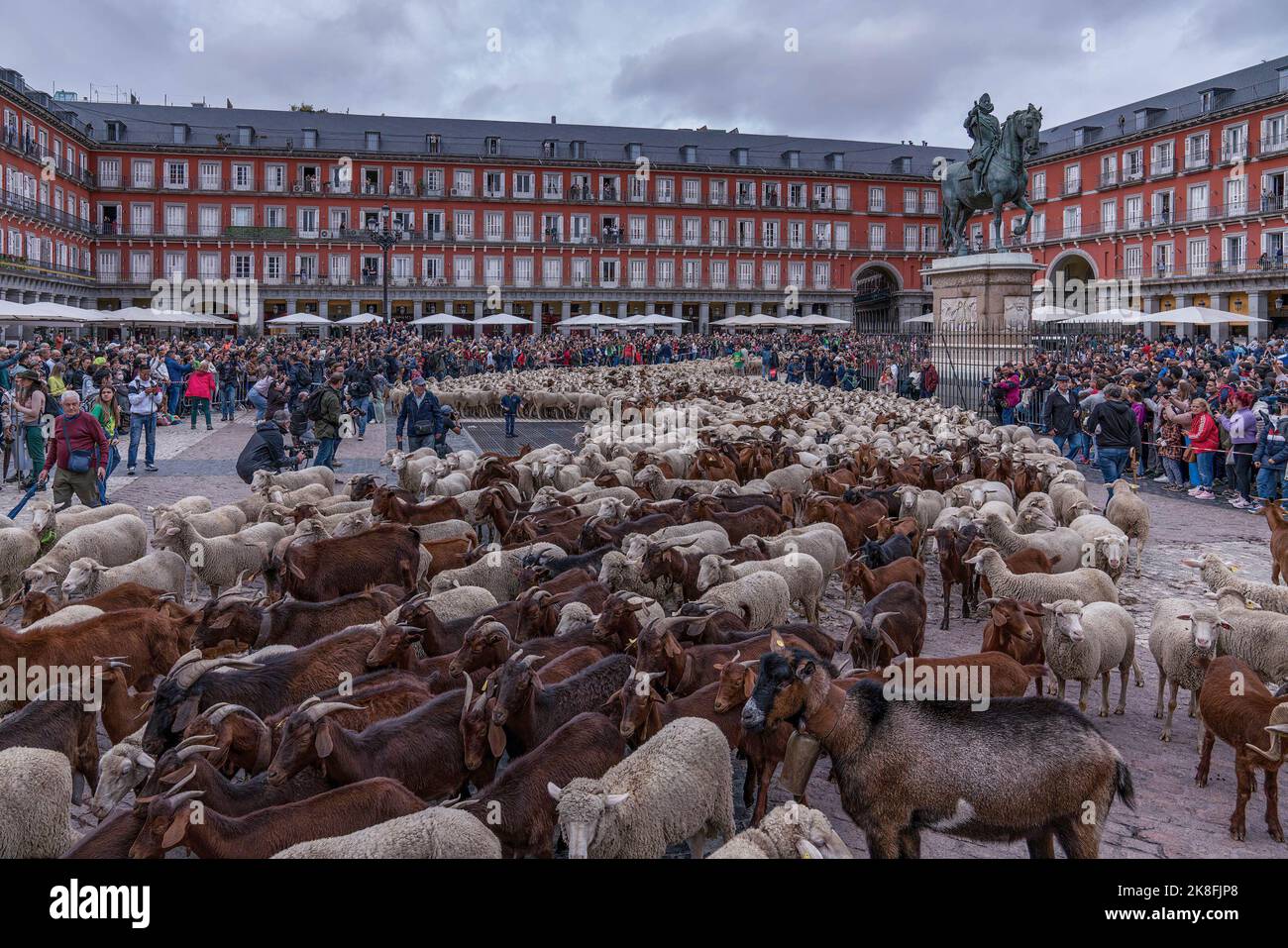 Madrid, Spain. 23rd Oct, 2022. A transhumant herd of goats and sheep ...