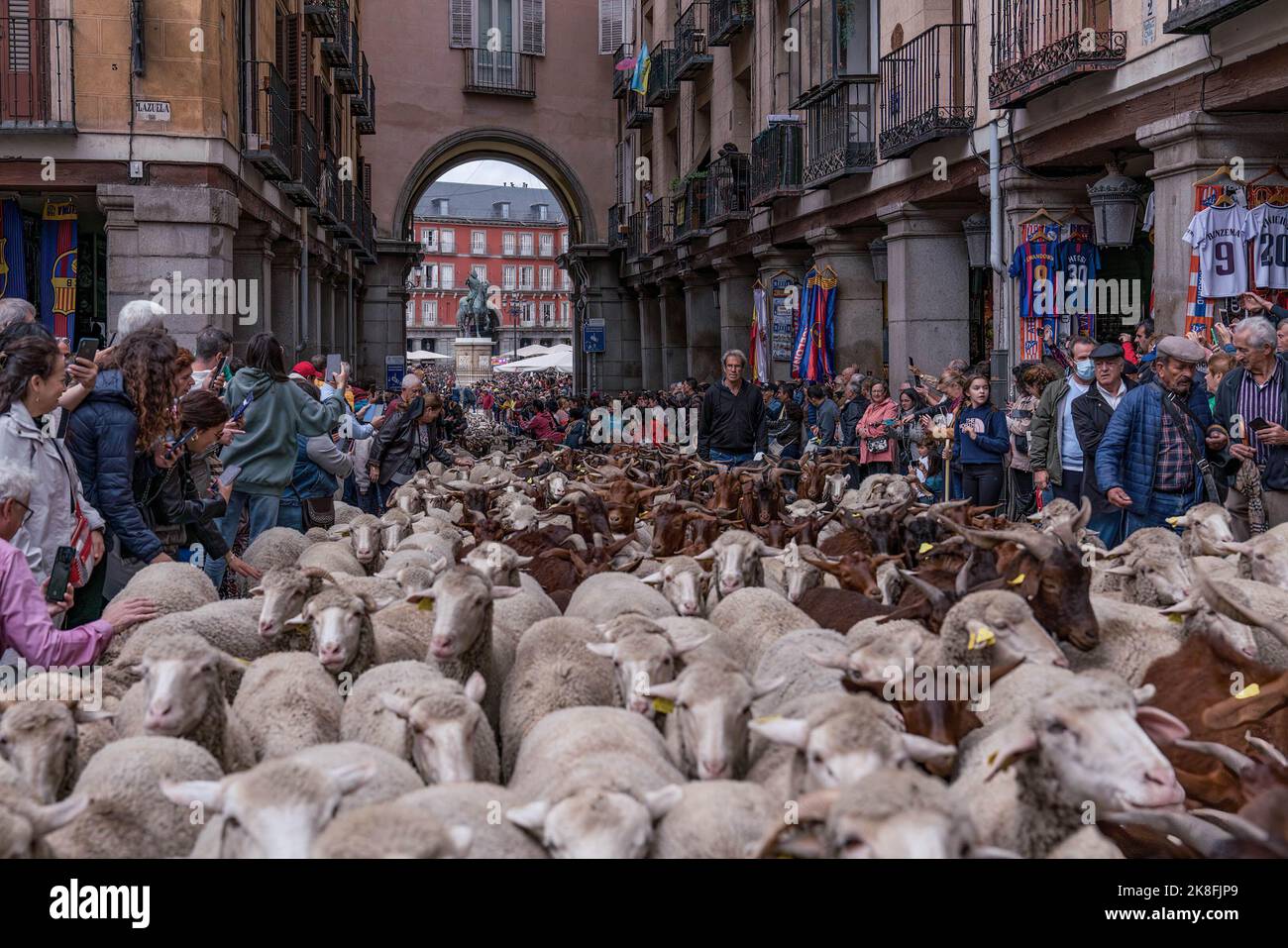 Madrid, Spain. 23rd Oct, 2022. A transhumant herd of goats and sheep ...