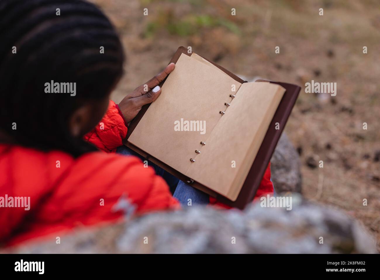 Book forest hi-res stock photography and images - Alamy