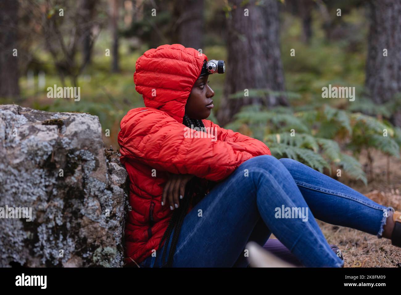 Flashlight forest hi-res stock photography and images - Alamy