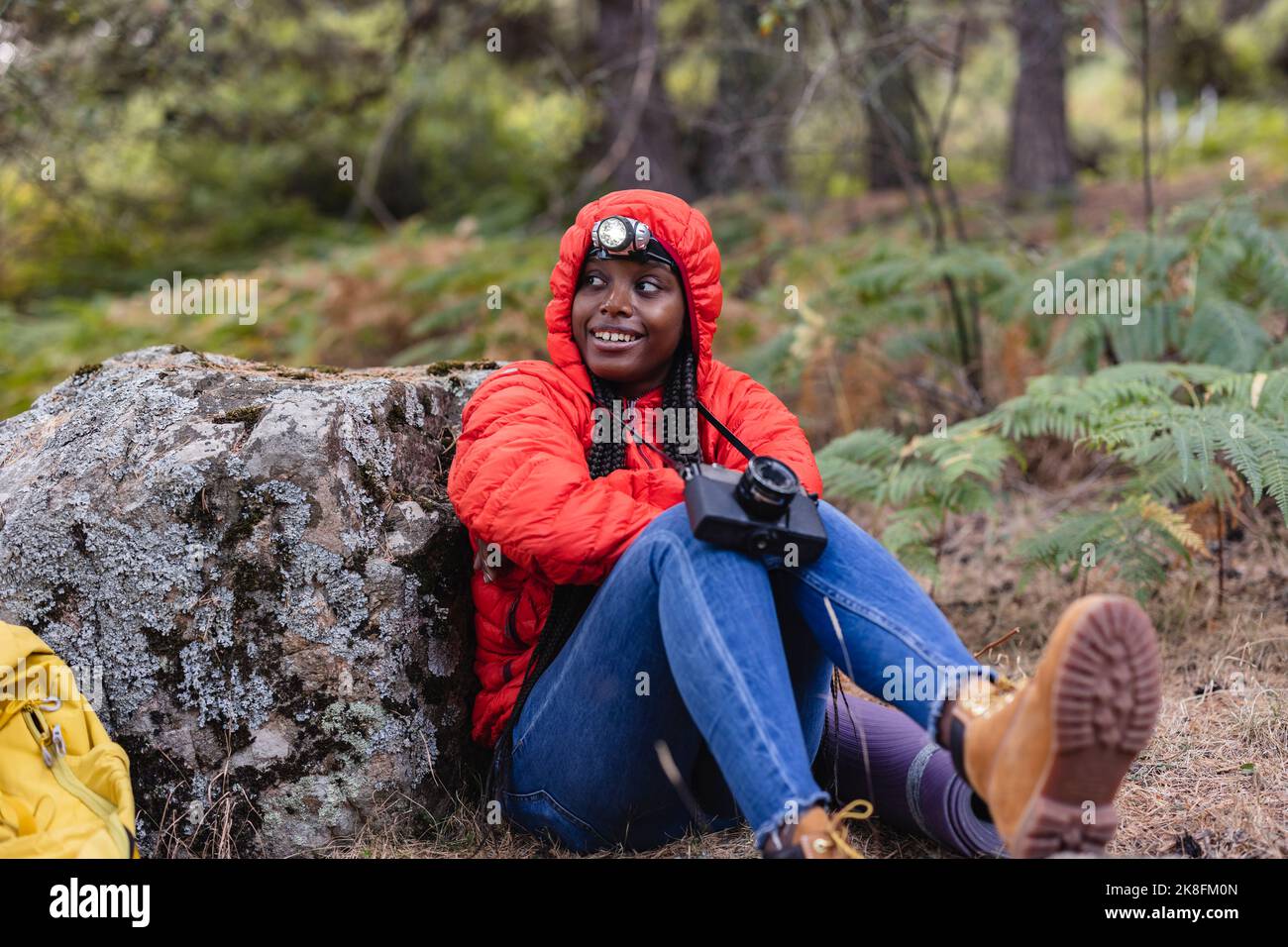 Flashlight forest hi-res stock photography and images - Alamy