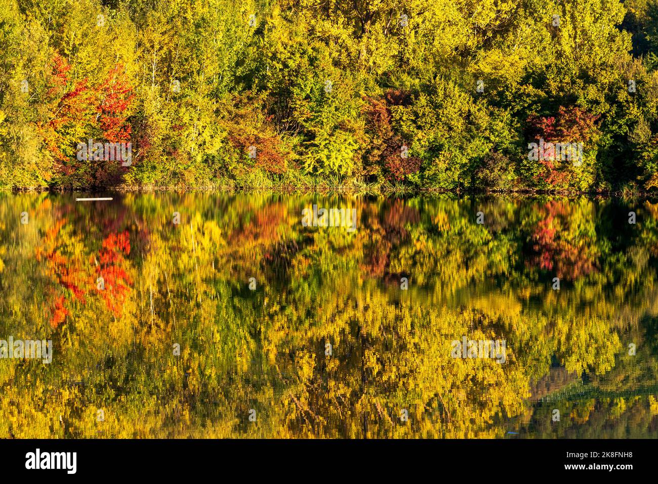 Autumn trees reflecting in Badesee Erlabrunn lake Stock Photo - Alamy