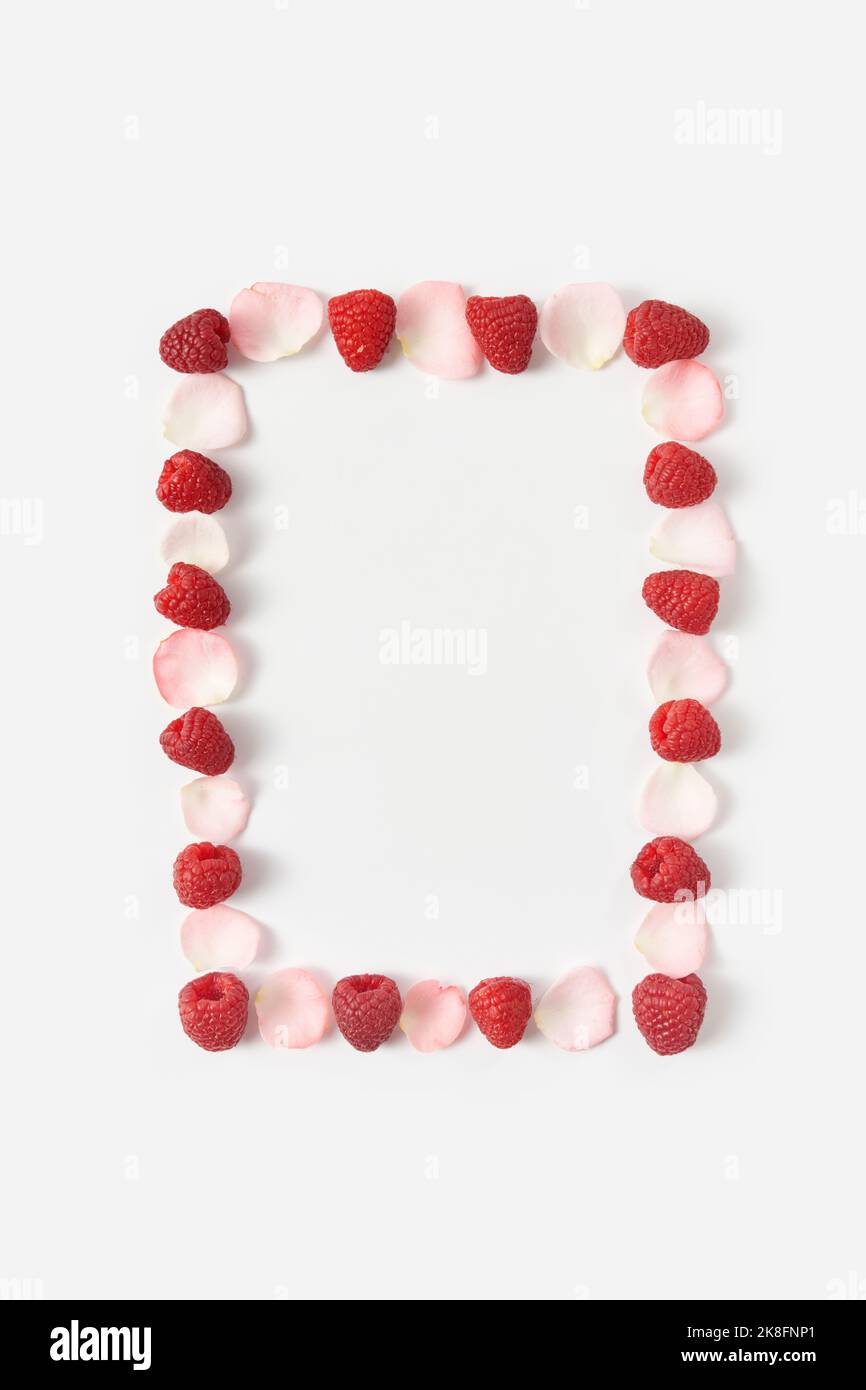 Border of frame made from raspberries and rose petals against white ...
