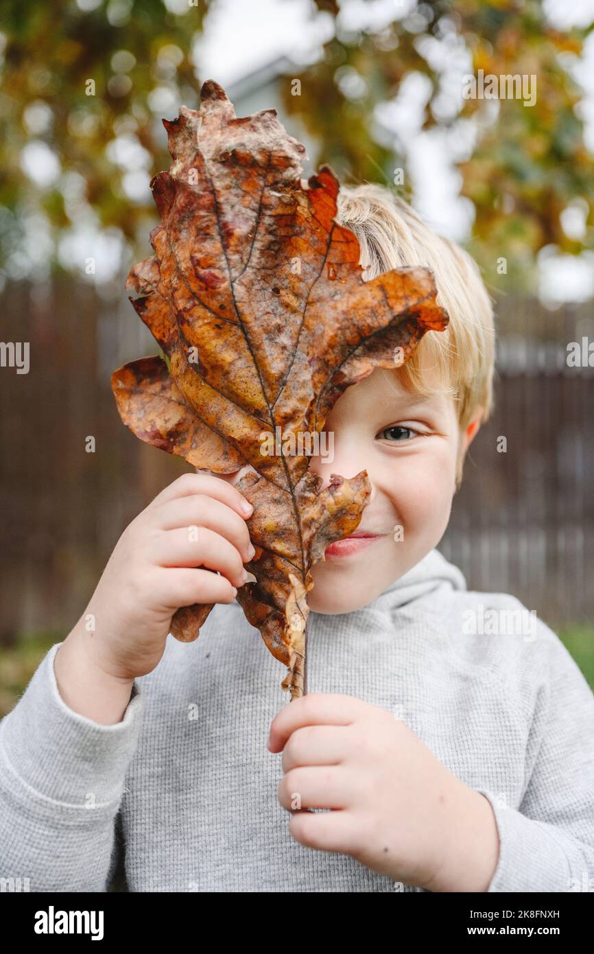 Smiling leaf face hi-res stock photography and images - Alamy