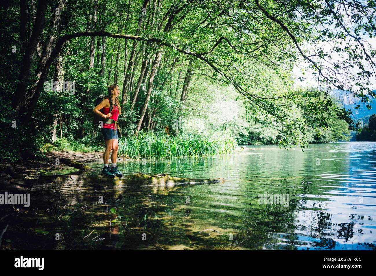 Hiker looking at Lake Levico standing under tree shade Stock Photo - Alamy