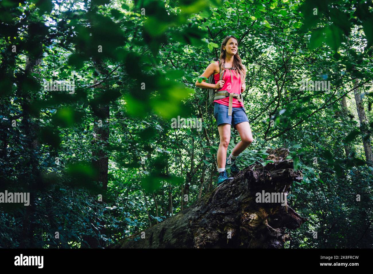 Woman standing on fallen hi-res stock photography and images - Alamy