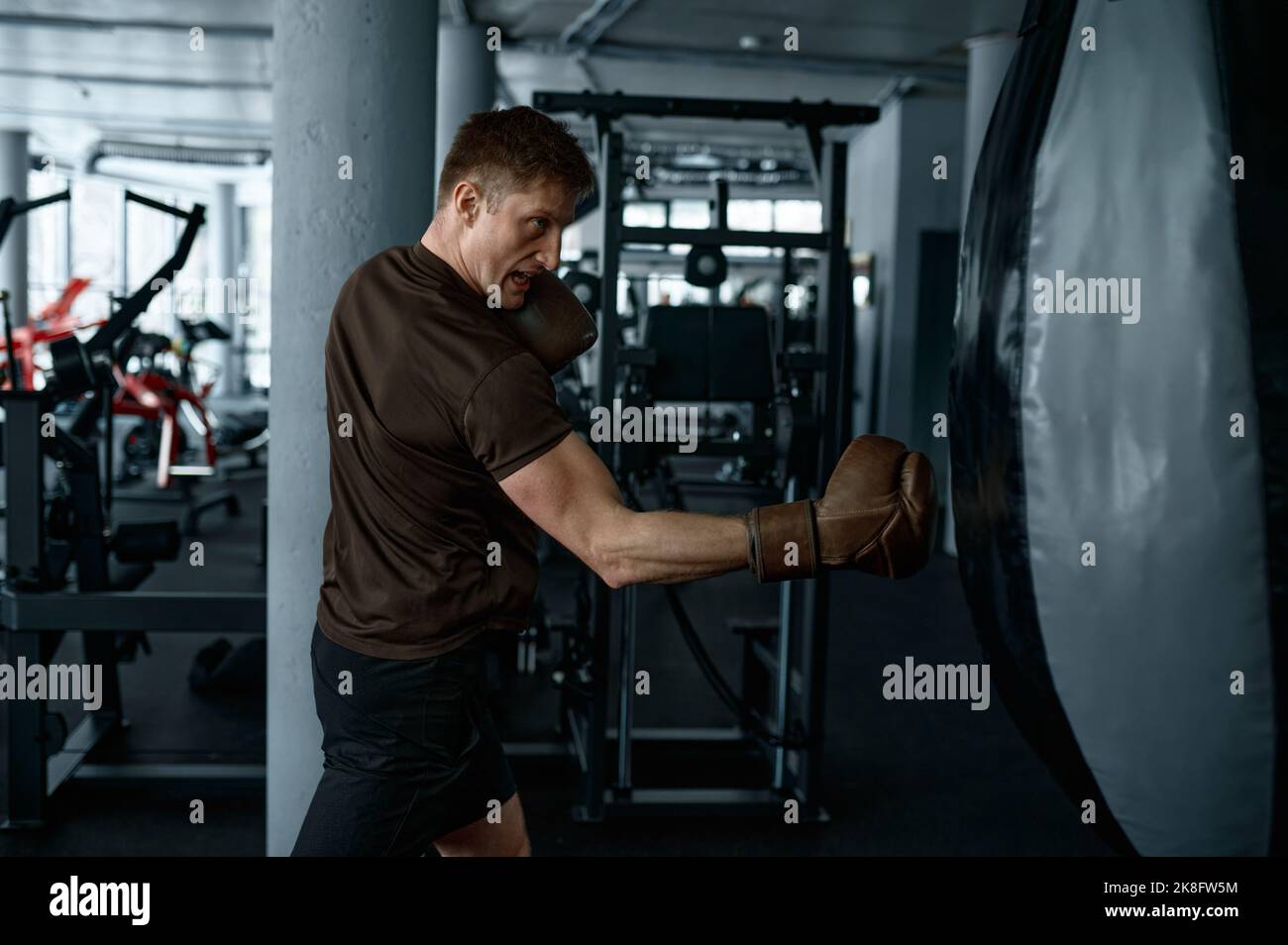 Professional boxer hi-res stock photography and images - Alamy