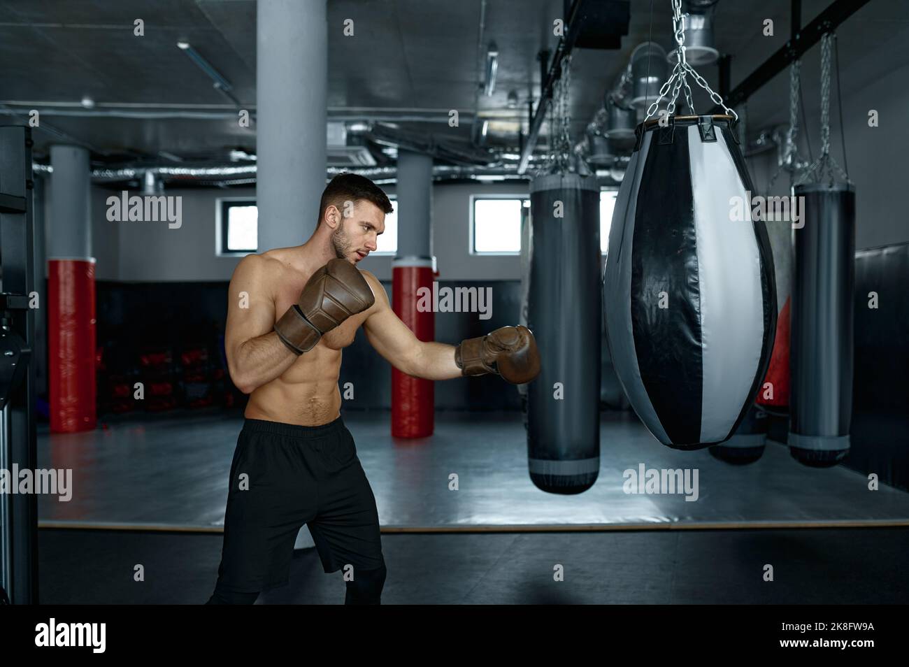 Professional boxer hi-res stock photography and images - Alamy