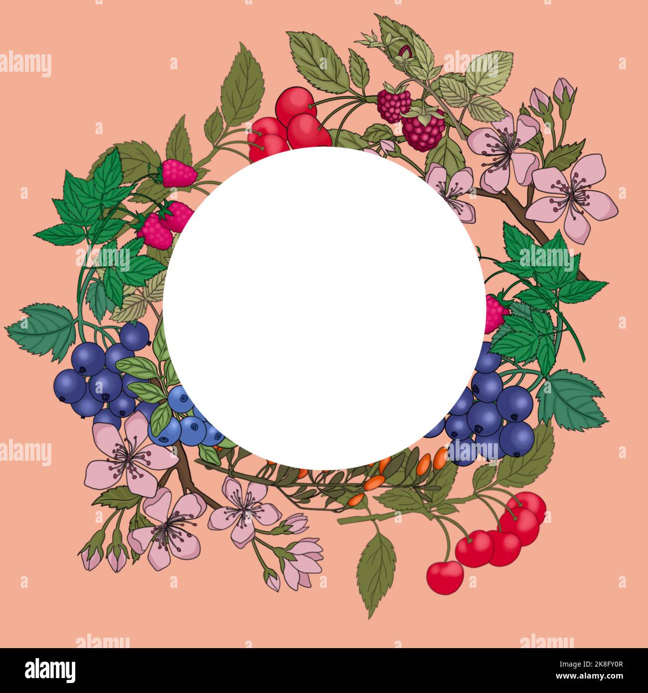 Round wreath or frame of raspberry, cranberry, blueberry, blackberry ...