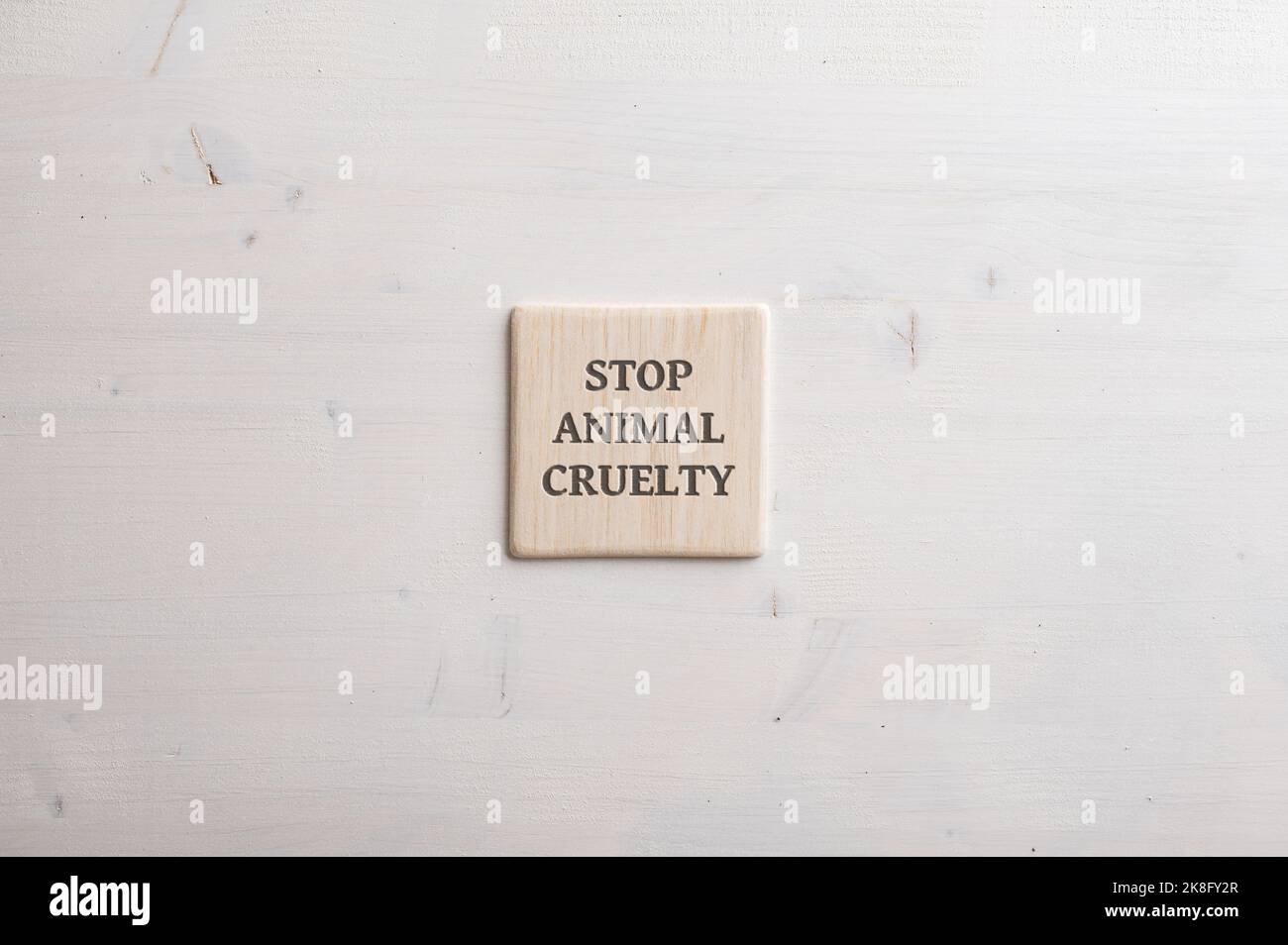 Wooden tile with a Stop animal cruelty sign on it placed over plain ...