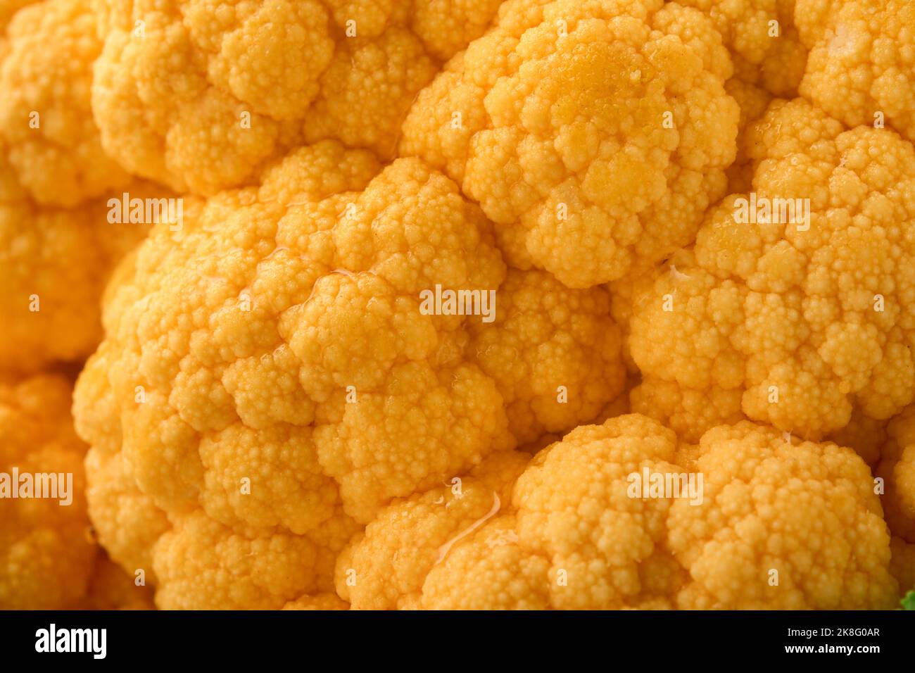 Macro texture of cauliflower yellow. Food background. Colorfu ...