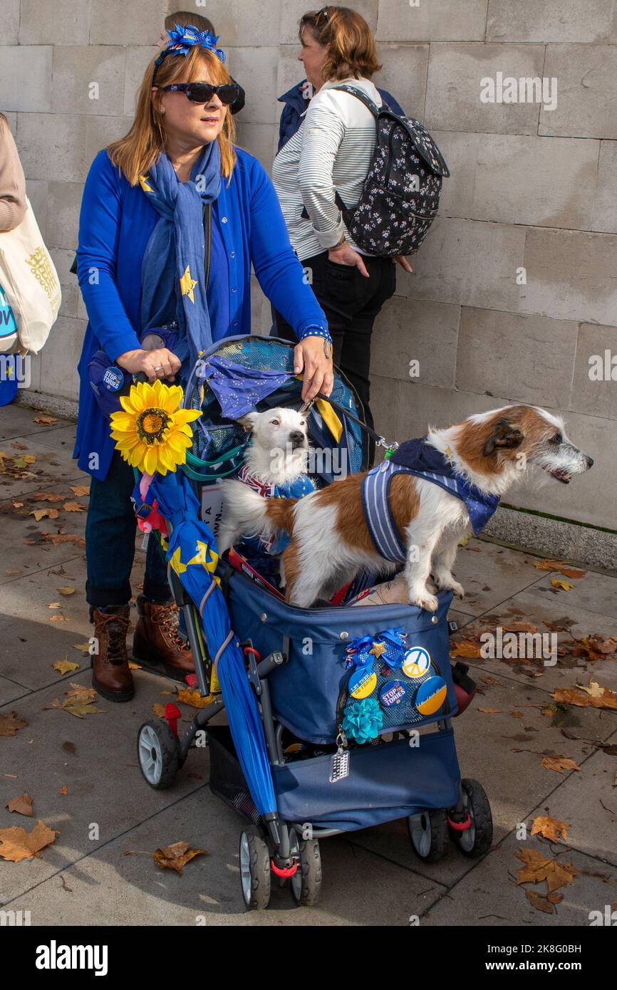London, UK - 22nd October 2022 - Marchers and dogs on the first ...