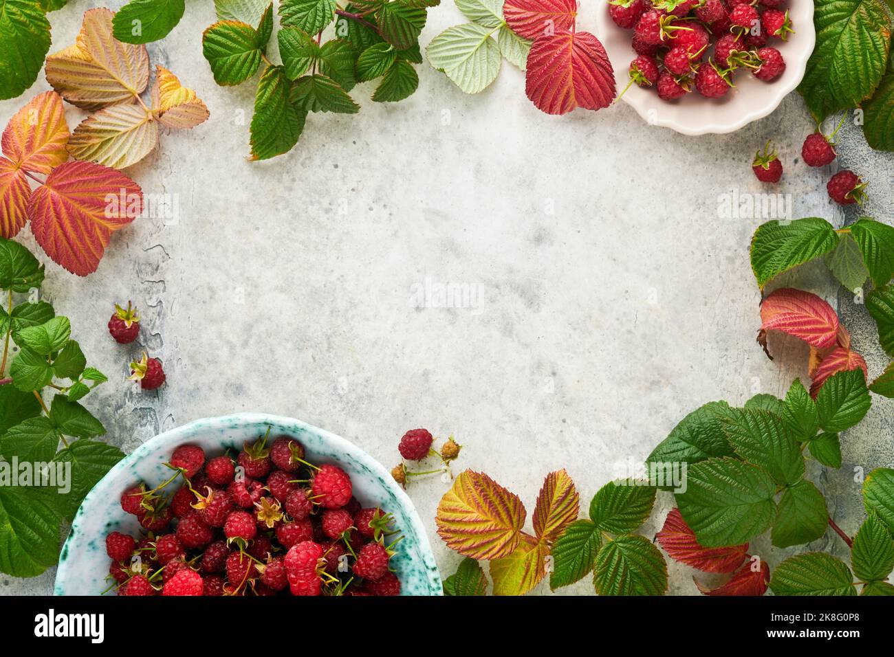 Raspberry. Branch of ripe raspberries with leaves on old concrete tile ...