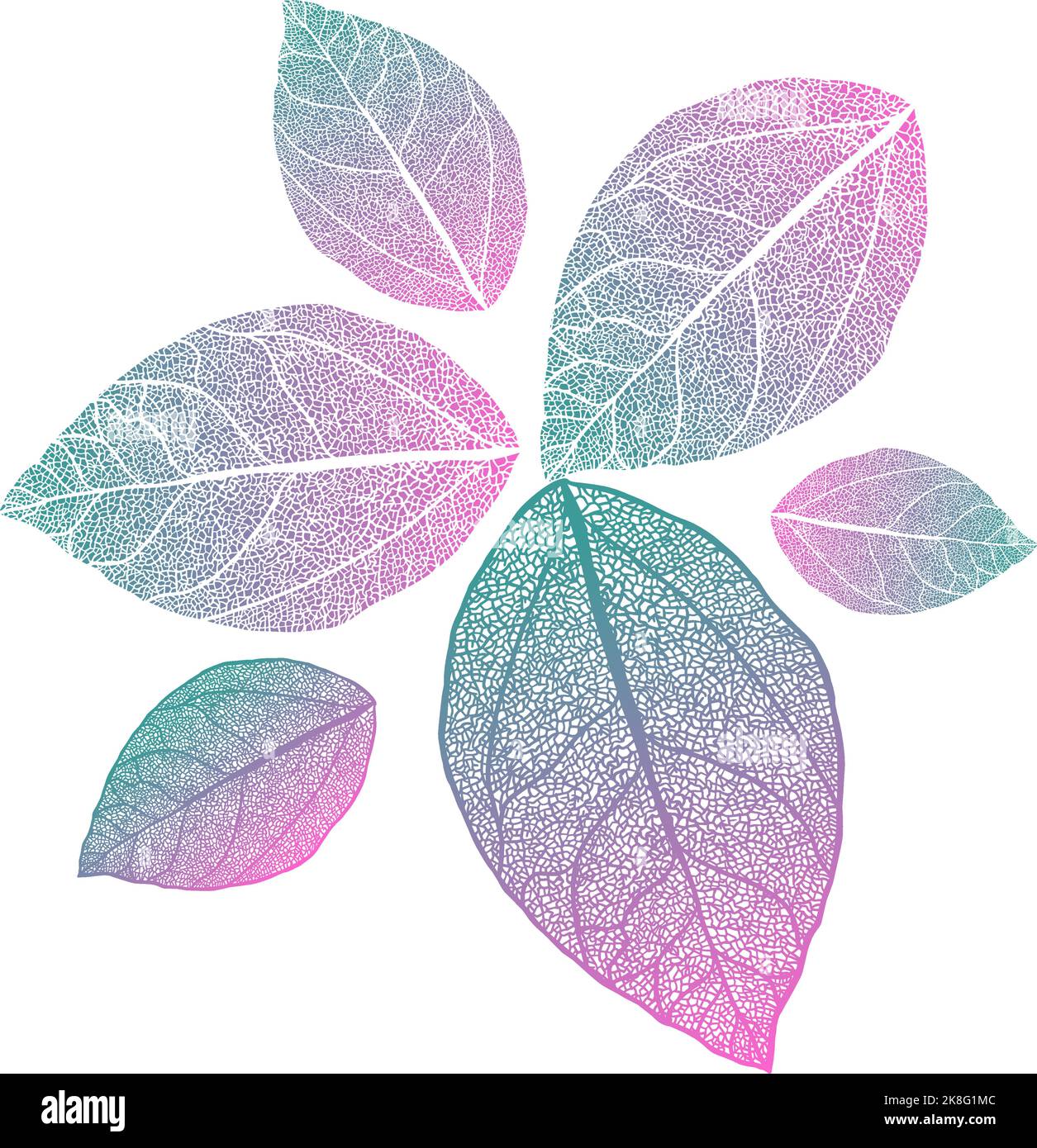 Tree leaf skeletonized violet. Vector illustration Stock Vector Image ...