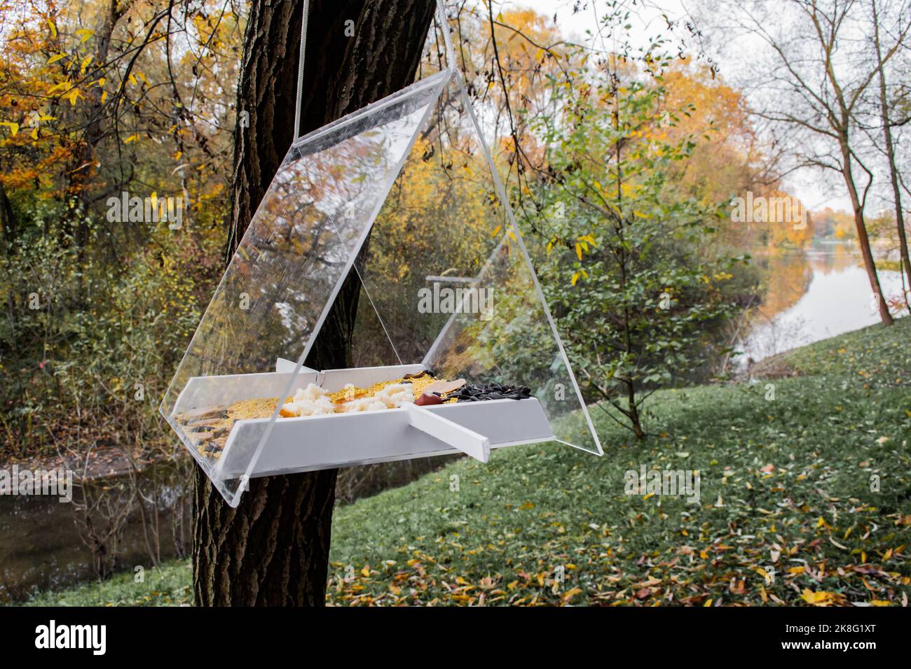 Bird feeders hangs on tree hi-res stock photography and images - Alamy