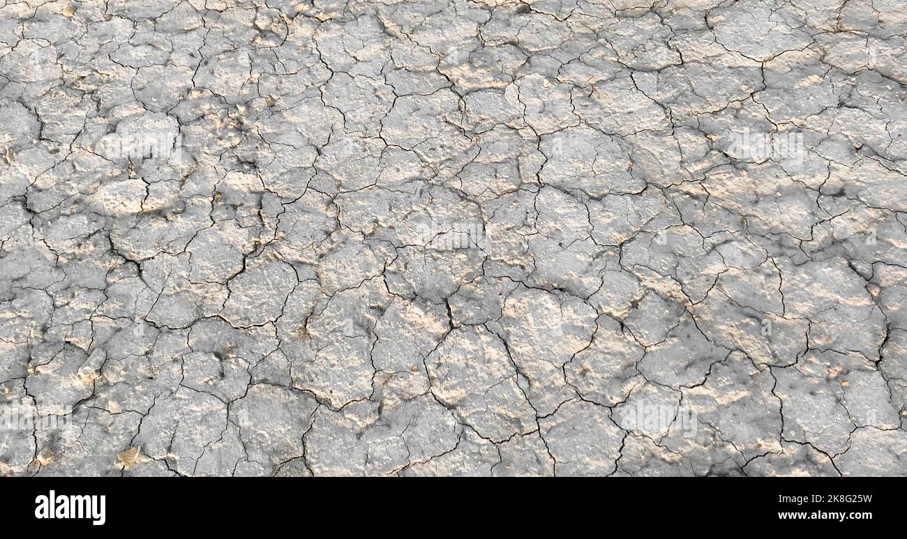 The texture of a dry cracked surface of a dried riverbed with a small ...